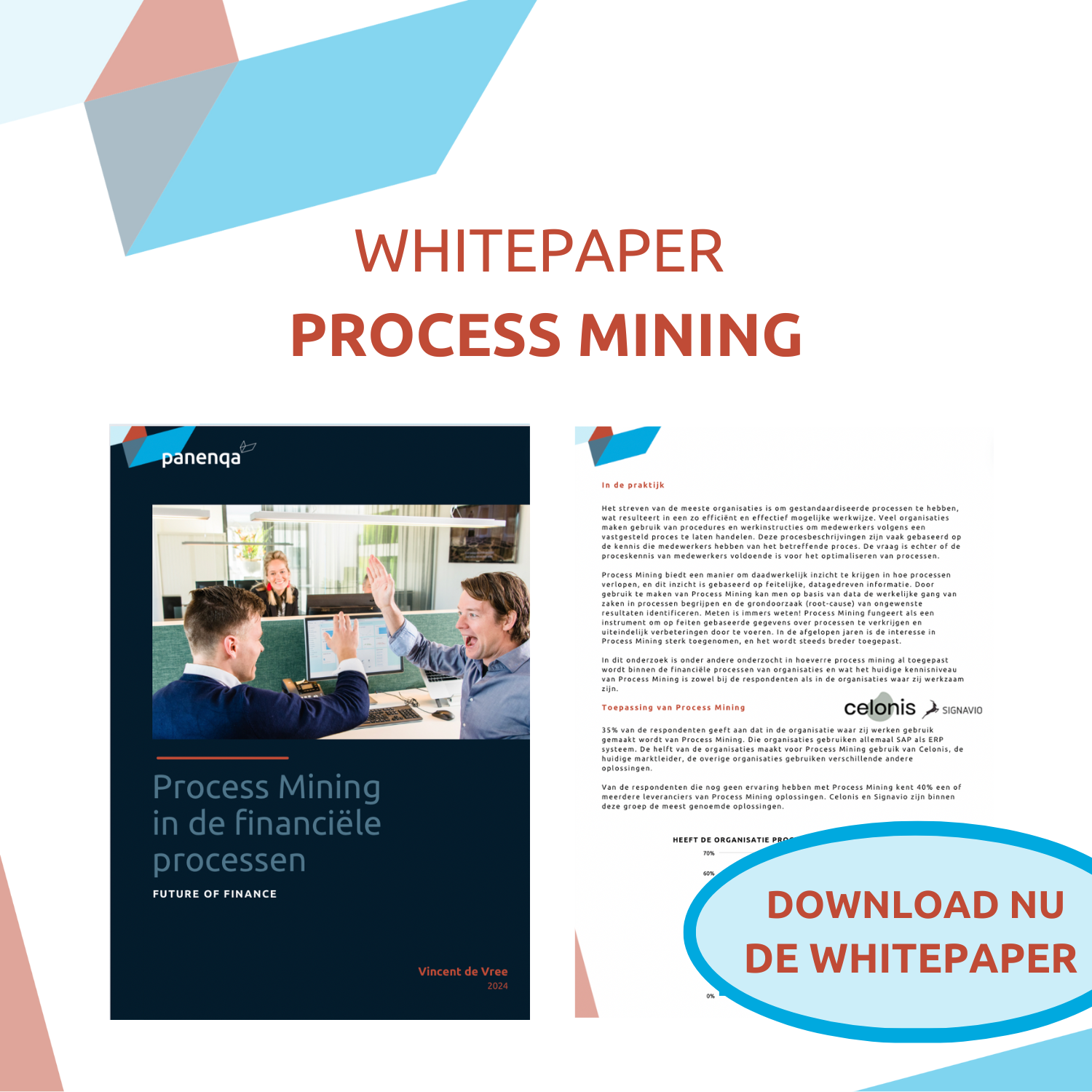 Whitepaper 'Process Mining' - Panenqa